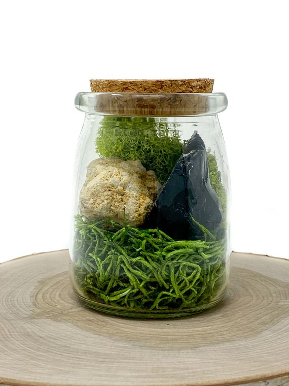 CRACK YOUR OWN GEODE OBSIDIAN & GEODE CRYSTAL TERRARIUM – Flora + Fauna