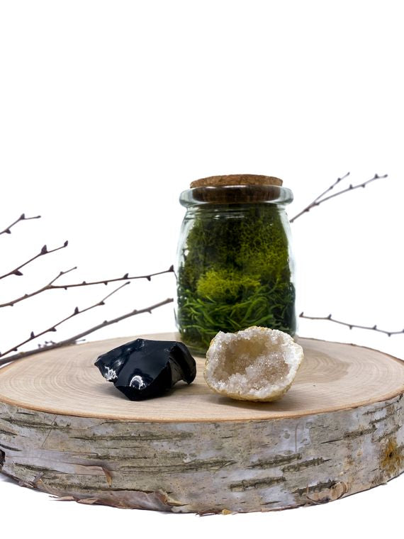 CRACK YOUR OWN GEODE OBSIDIAN & GEODE CRYSTAL TERRARIUM – Flora + Fauna